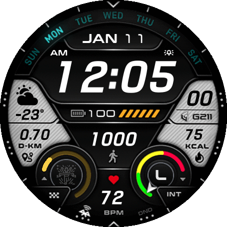 G211 (GTR3 Pro) by Panther975 - Amazfit GTR • GTR 3 Pro | 🇺🇦 AmazFit ...