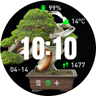 «Bonsai digital» by Luiso - Amazfit Pace, Stratos | AmazFit, Zepp ...