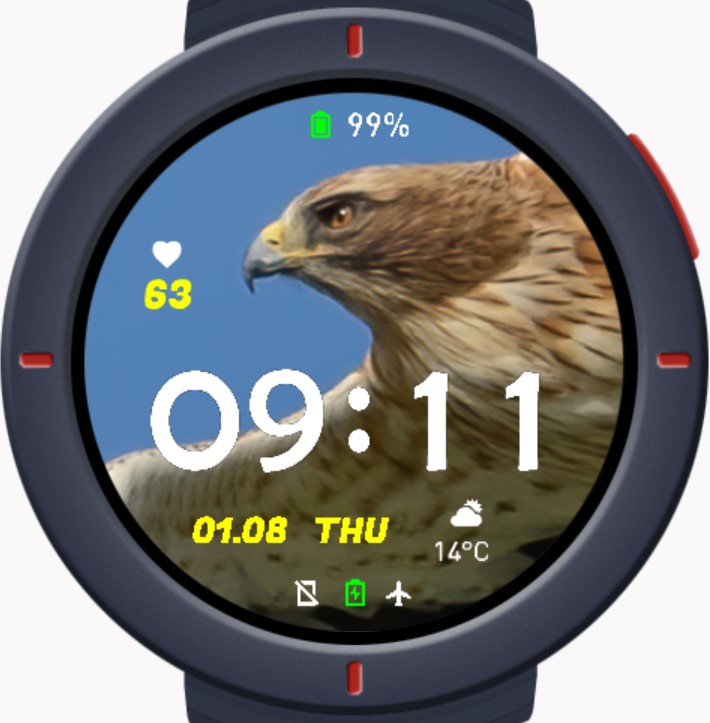 Aquila minore by davidewup - Amazfit Verge | 🇺🇦 AmazFit, Zepp, Xiaomi ...